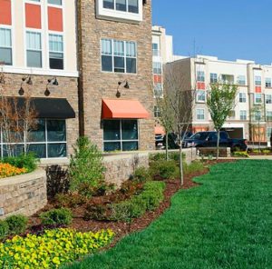 Effective Mosquito & Tick Control Services in Long Island NY | Mosquito ...