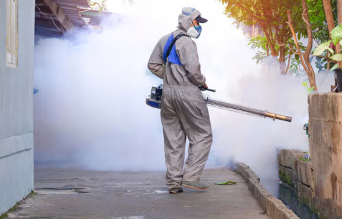 Residential Mosquito Control Oyster Bay | Mosquito Brothers Mosquito ...